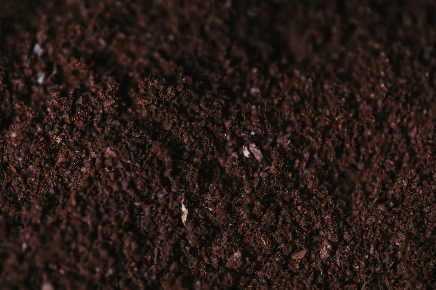 How to Prepare Soil for Turf? - Roberts Turf