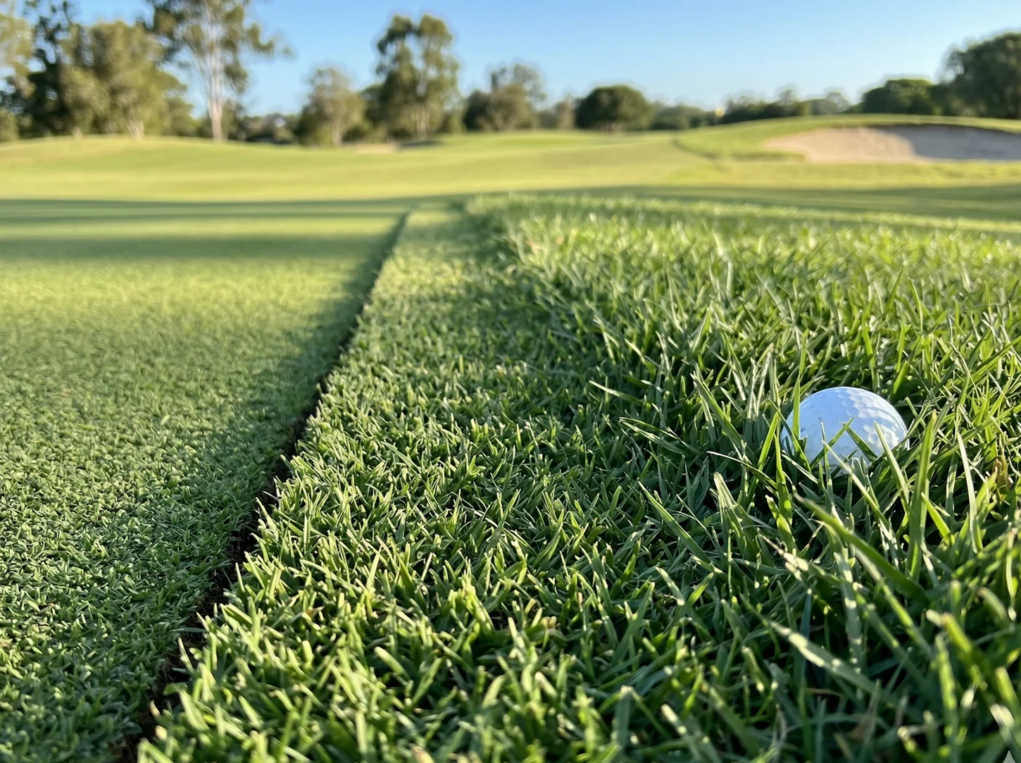 Best Grass for Golf Course Rough
